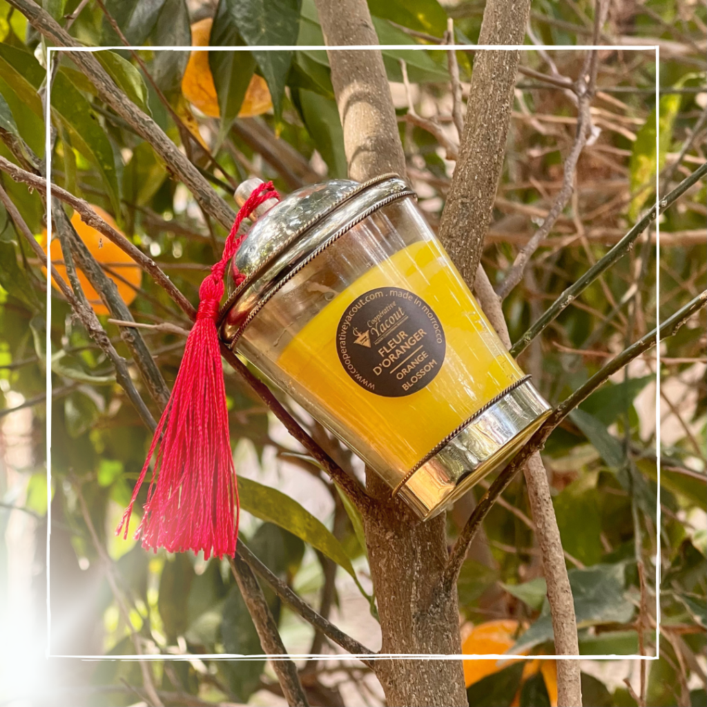 Boutique – Cooperative Yacout